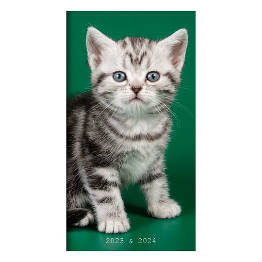 TF Publishing 2023 2024 Kittens 2 Year Small Monthly Pocket Planner tf-publishing-2023-2024-kittens-2-year-small-monthly-pocket-planner